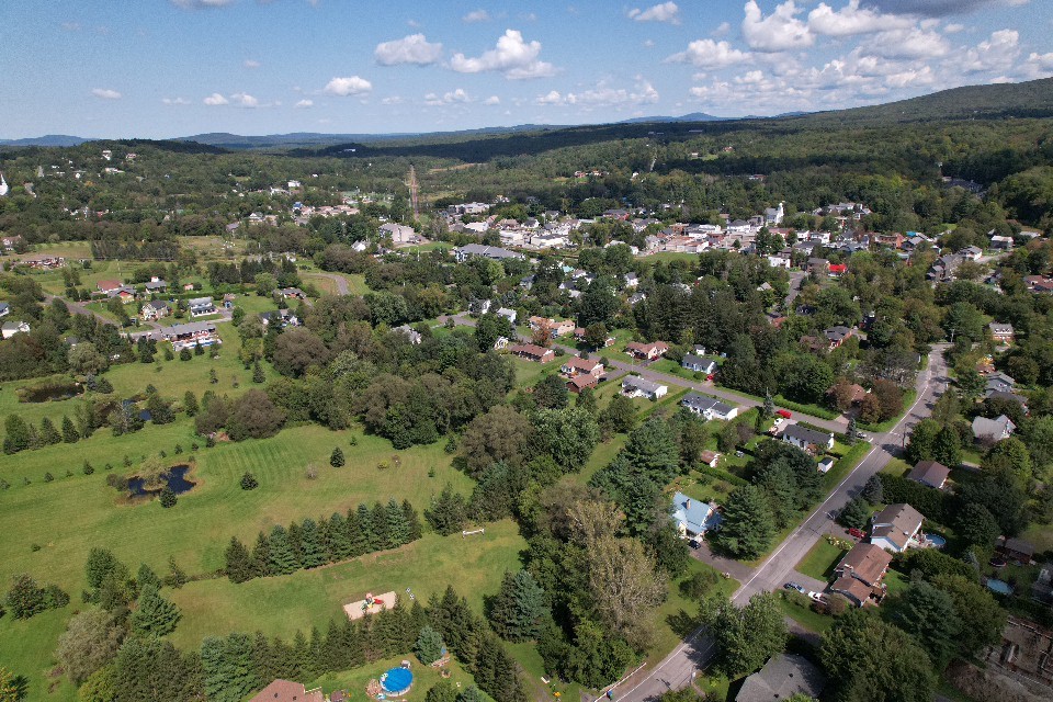 Planning a future vision for sustainable and slow tourism in Sutton ...