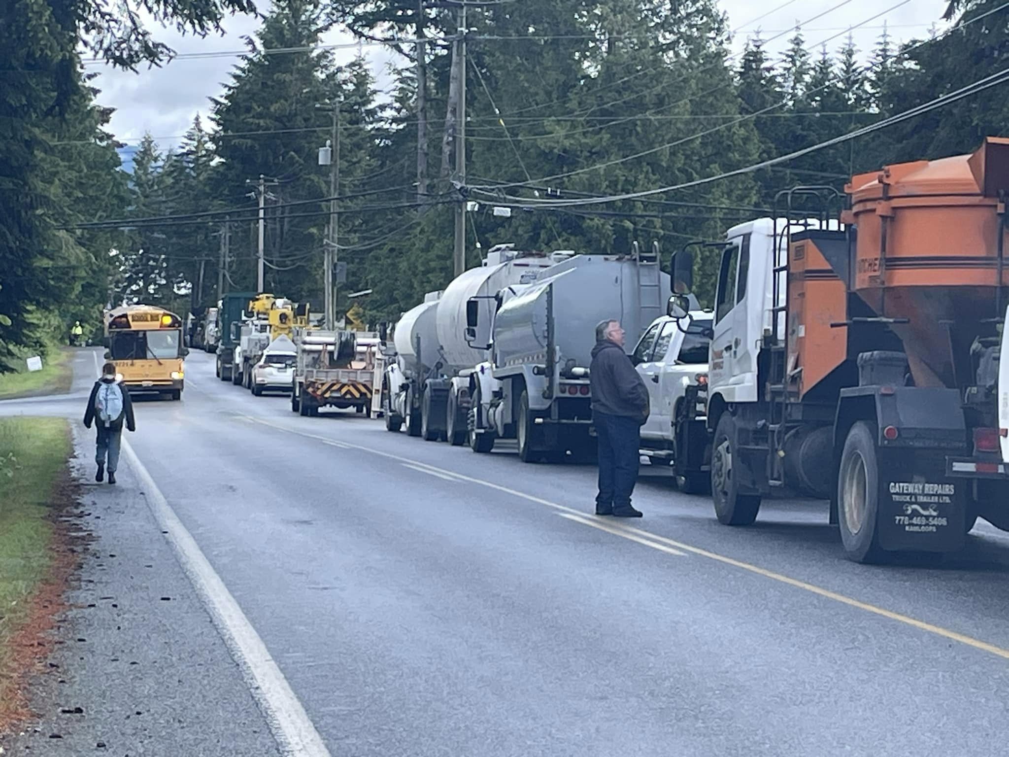 New sailing hopes to improve ferry traffic this summer for Cortes ...