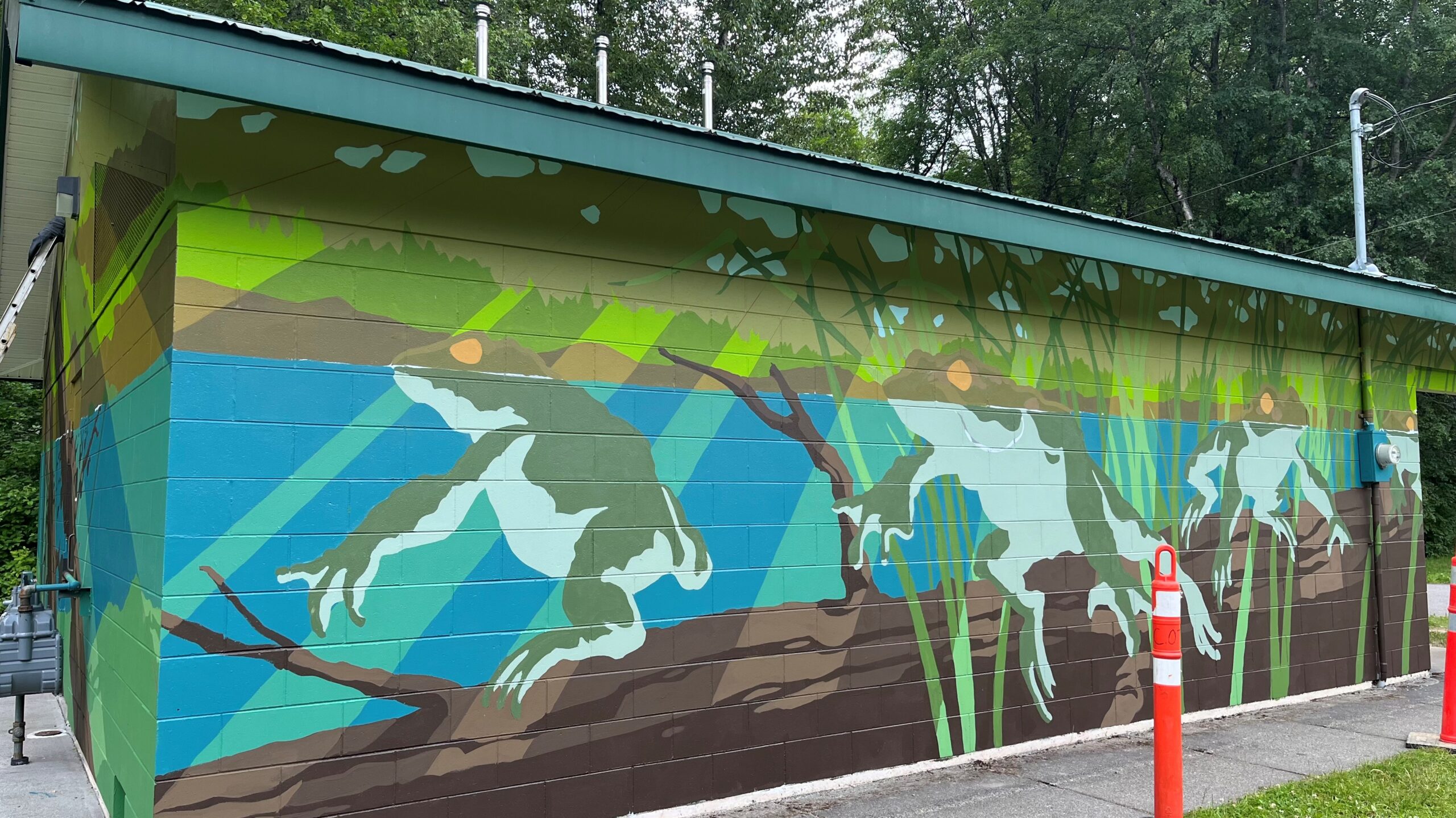 Artist reveals TOAD-ally cool new mural on Ferry Island - Frequency