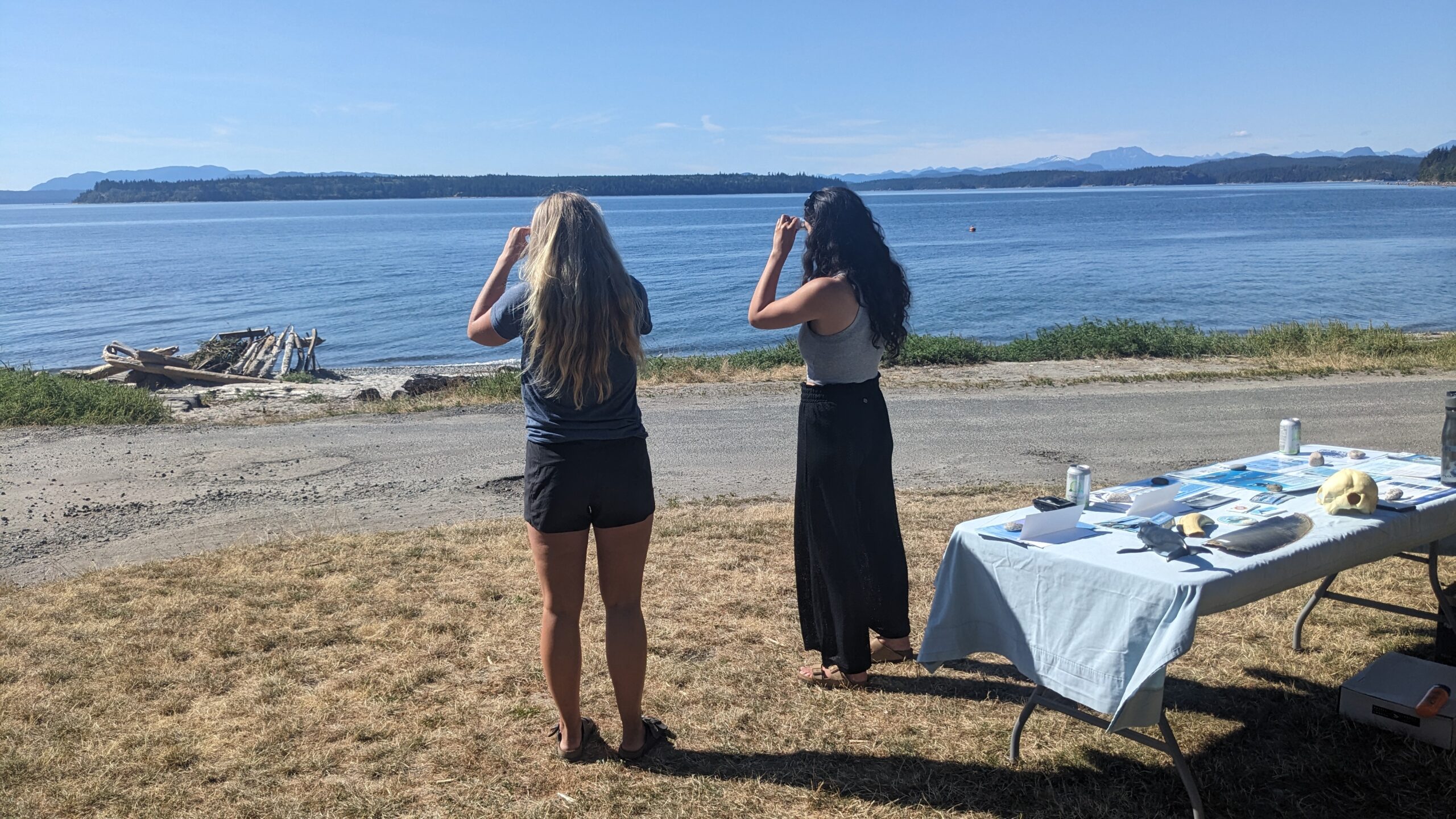 Whale Blitz teaches locals how to report entangled humpbacks in the ...