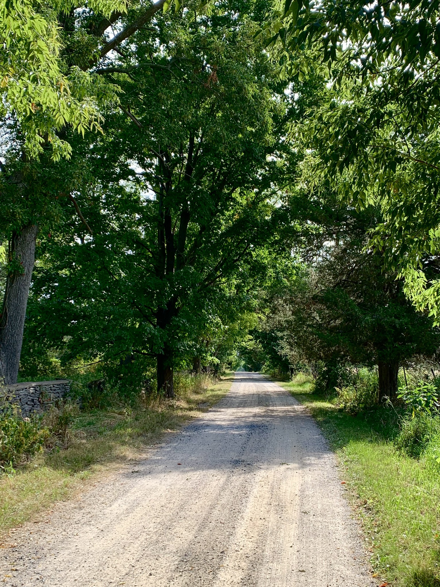 City provides update on Lemoine Point Farm property - Frequency