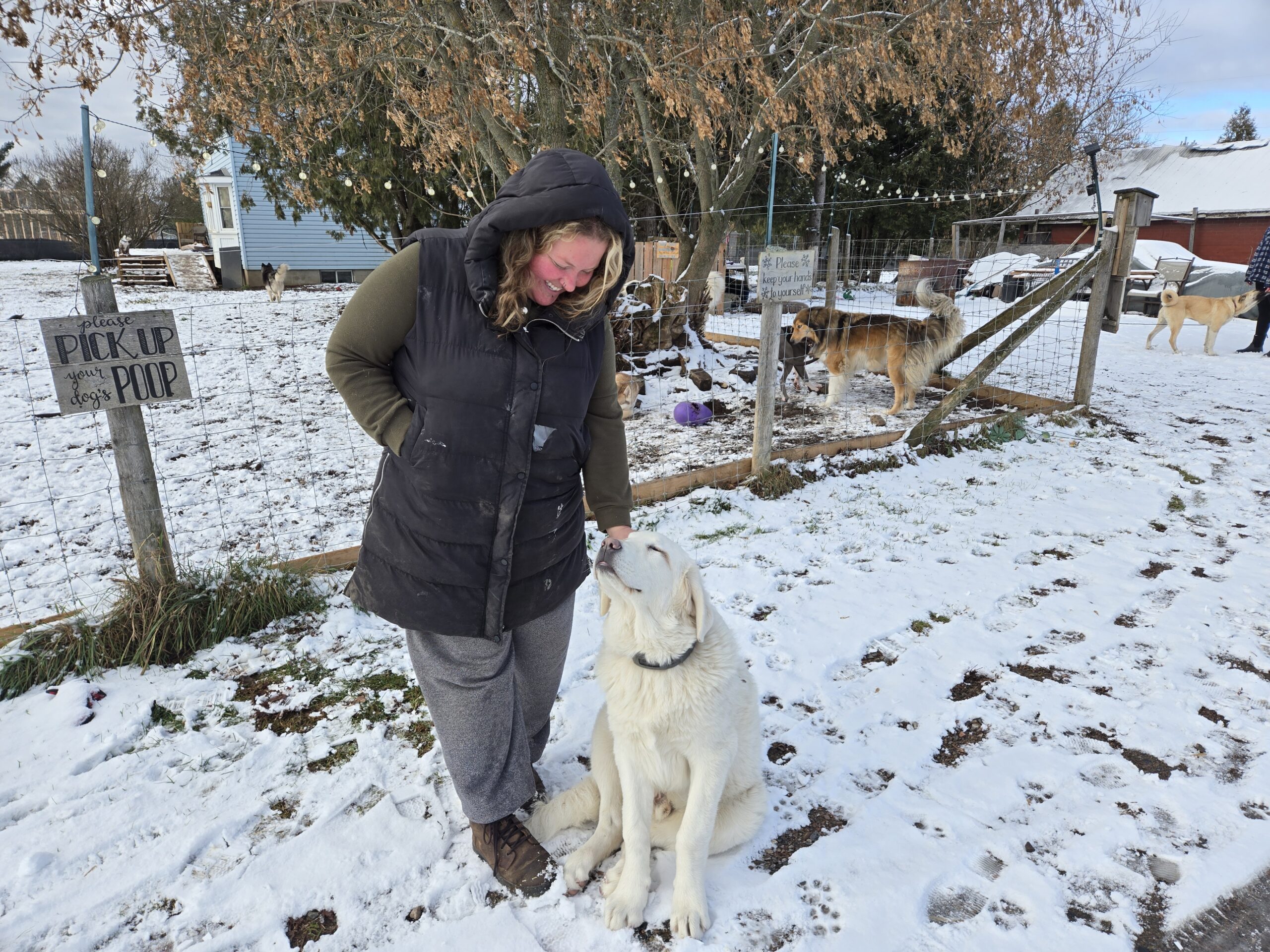 Snowflake Meadows — a haven for stray and abandoned dogs in Haliburton ...