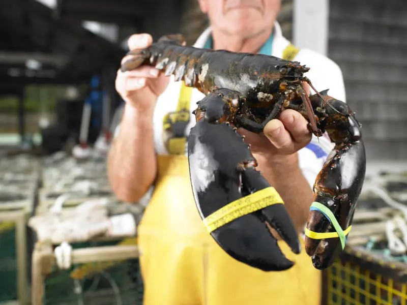 Cape Breton lobster fishermen want more good weather, less confusion ...