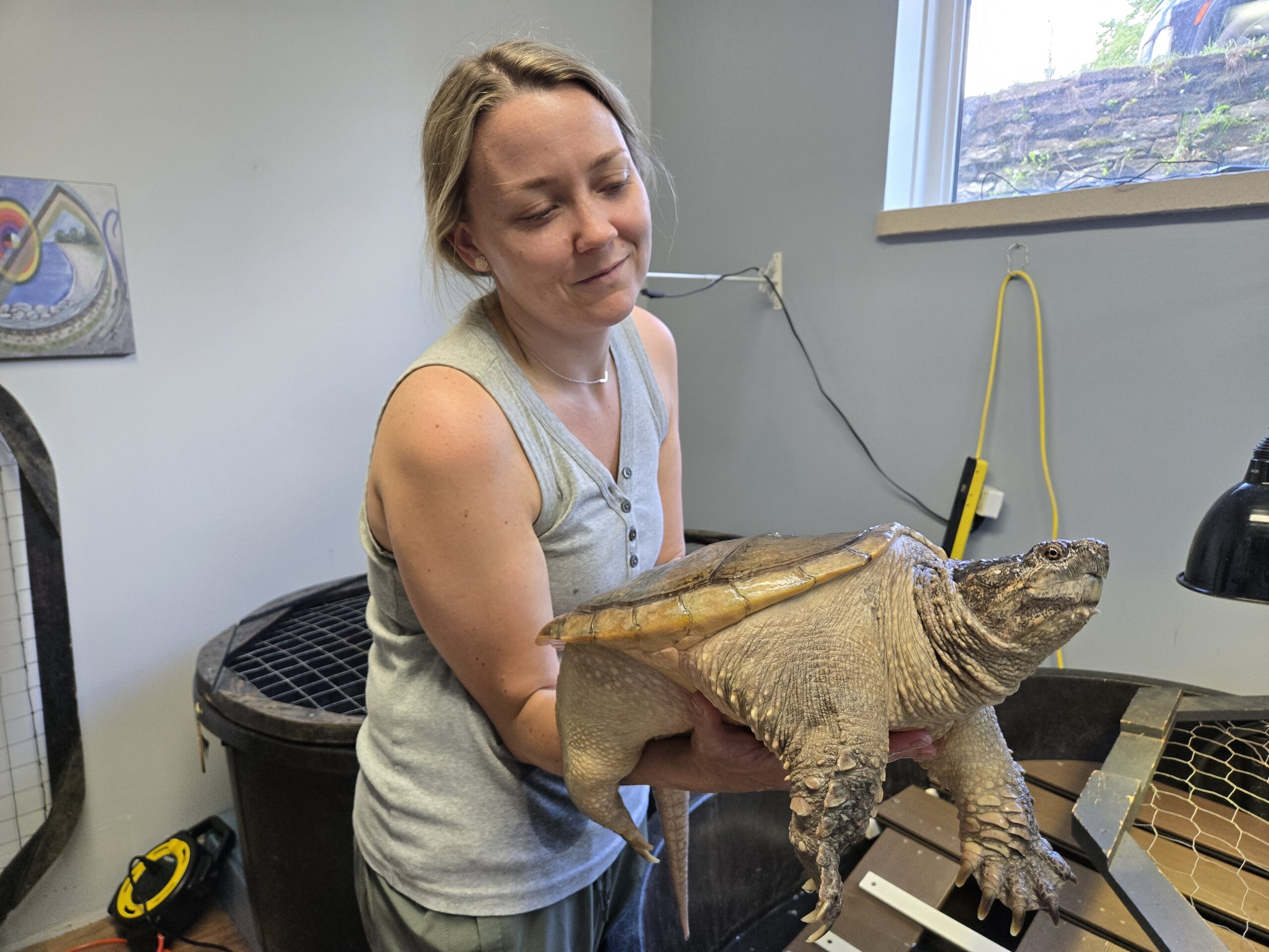 Turtle Guardians — Protecting threatened turtle species in Haliburton ...